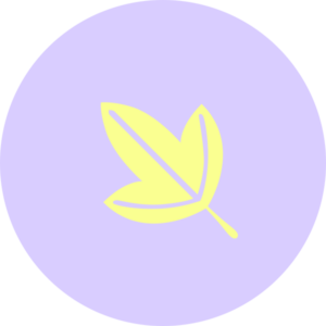 Career - Adaptive Recognition | Image Capturing and Analytics