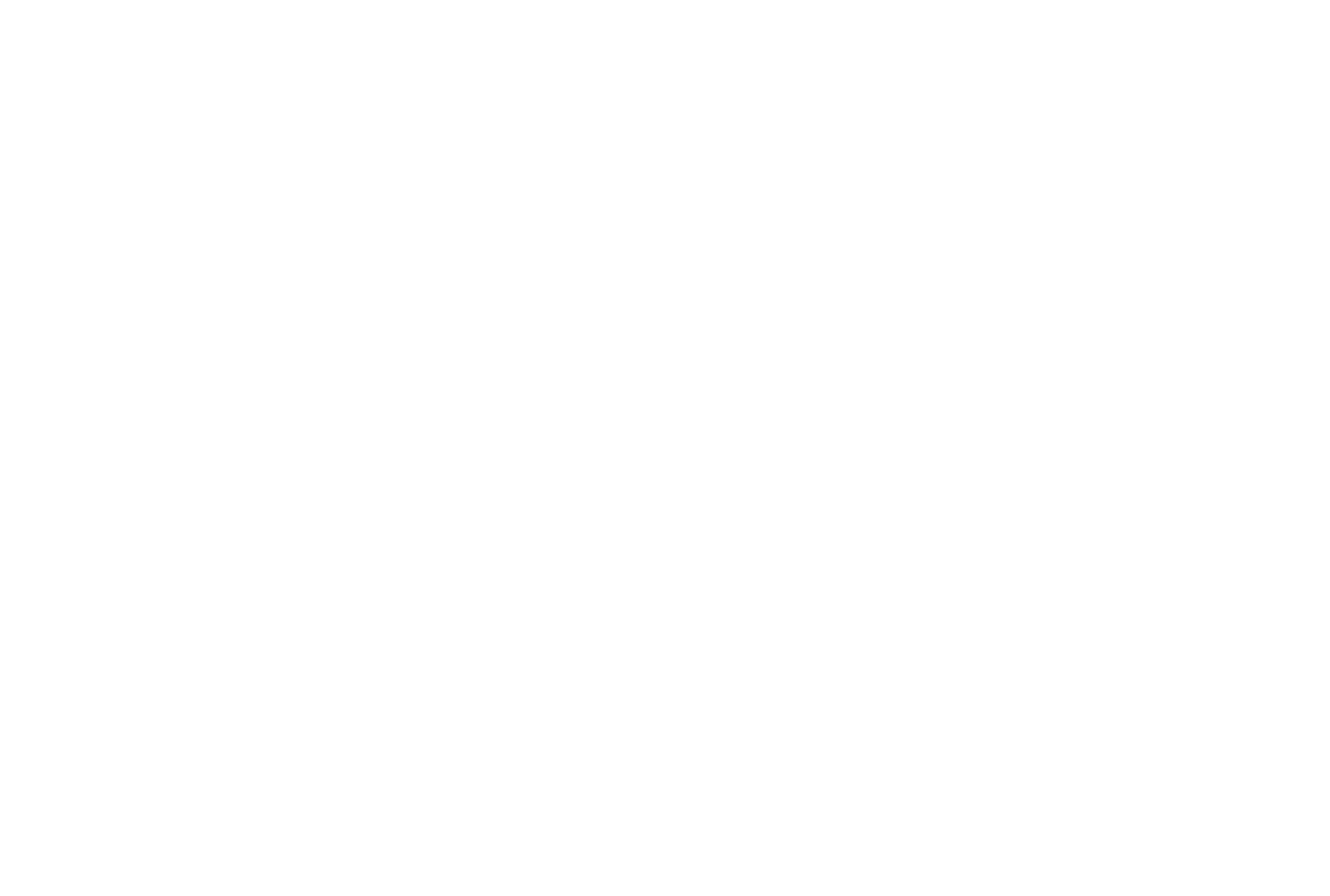 Our Company Structure - Adaptive Recognition | Image Capturing and ...